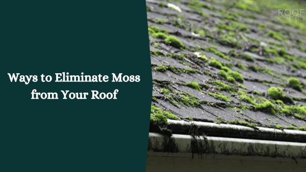 Ways to Eliminate Moss from Your Roof - Louisiana Roof Crafters