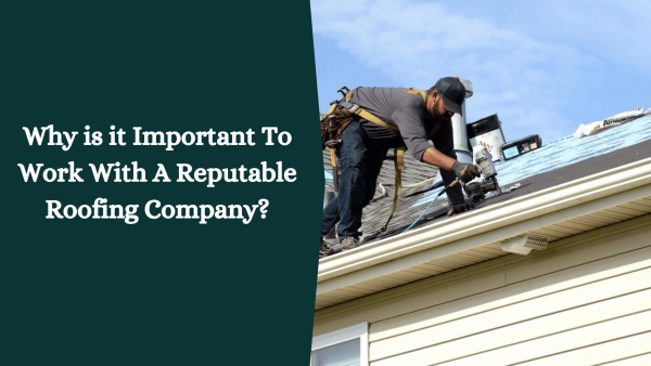 Why is it Important To Work With A Reputable Roofing Company ...
